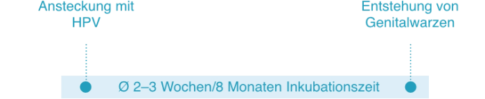 Humane Papillomviren (HPV)